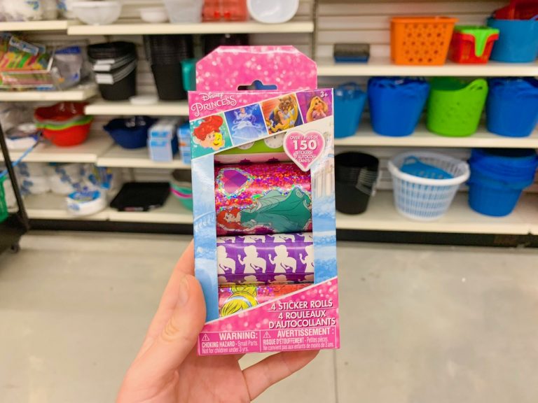 33 Useful Things To Buy From Dollar Tree Before Disney - Disney Trippers