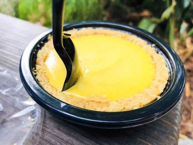 25 Best Snacks at Disney World To Try In The Parks - Disney Trippers