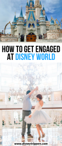 How to Plan the Perfect Disney Engagement - Disney Trippers