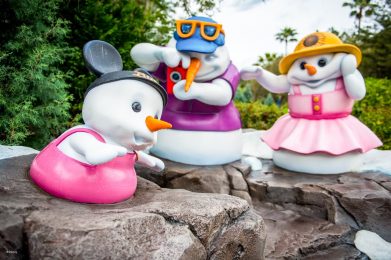 The Ultimate Guide to Disney Water Parks - Disney Trippers