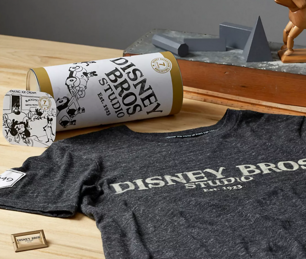 Introducing NEW Monthly Disney Subscription Boxes - Disney Trippers